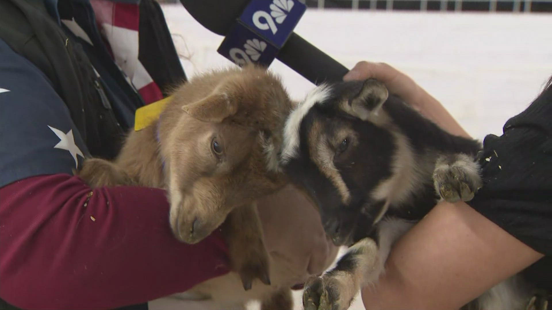 Michigan's lieutenant governor drops gubernatorial bid and launches ...