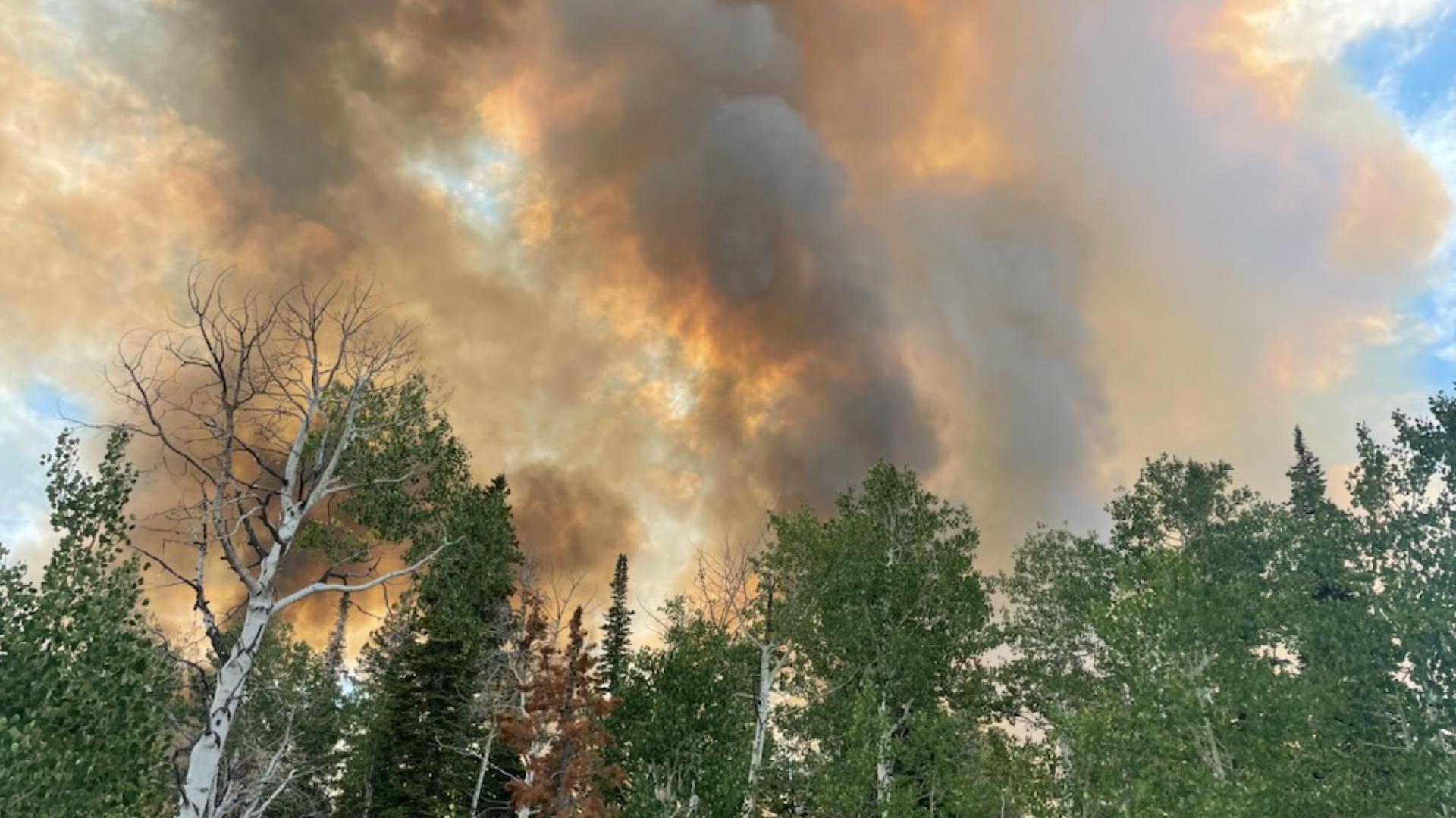 5 arrested in connection with Yellow Jacket Fire | 9news.com