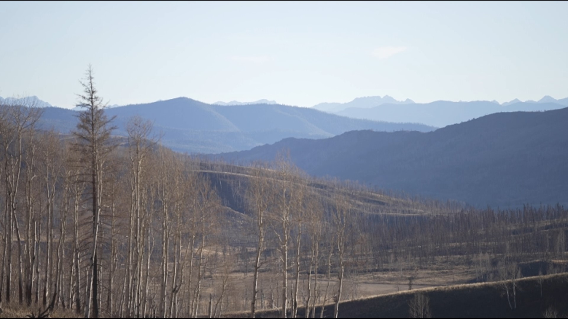 Reducing wildfire risk will cost billions in Colorado | 9news.com