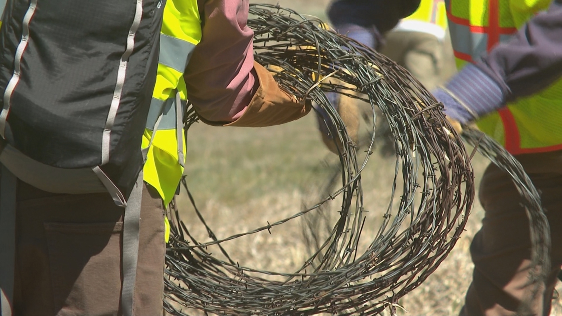 Colorado issues first permit to remove barbed wire threatening ...
