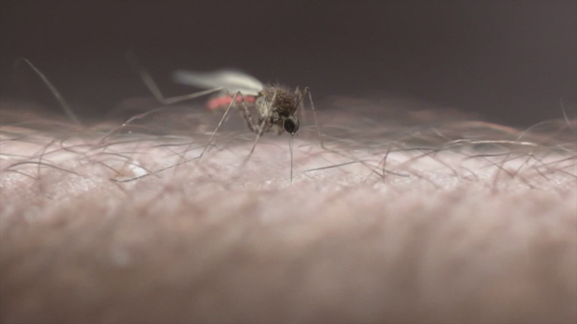 Denver, Jeffco confirms first West Nile virus cases in 2025 | 9news.com