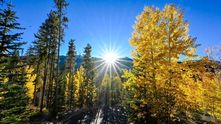 Denver metro area gets new 983 area code in June 2022 | 9news.com