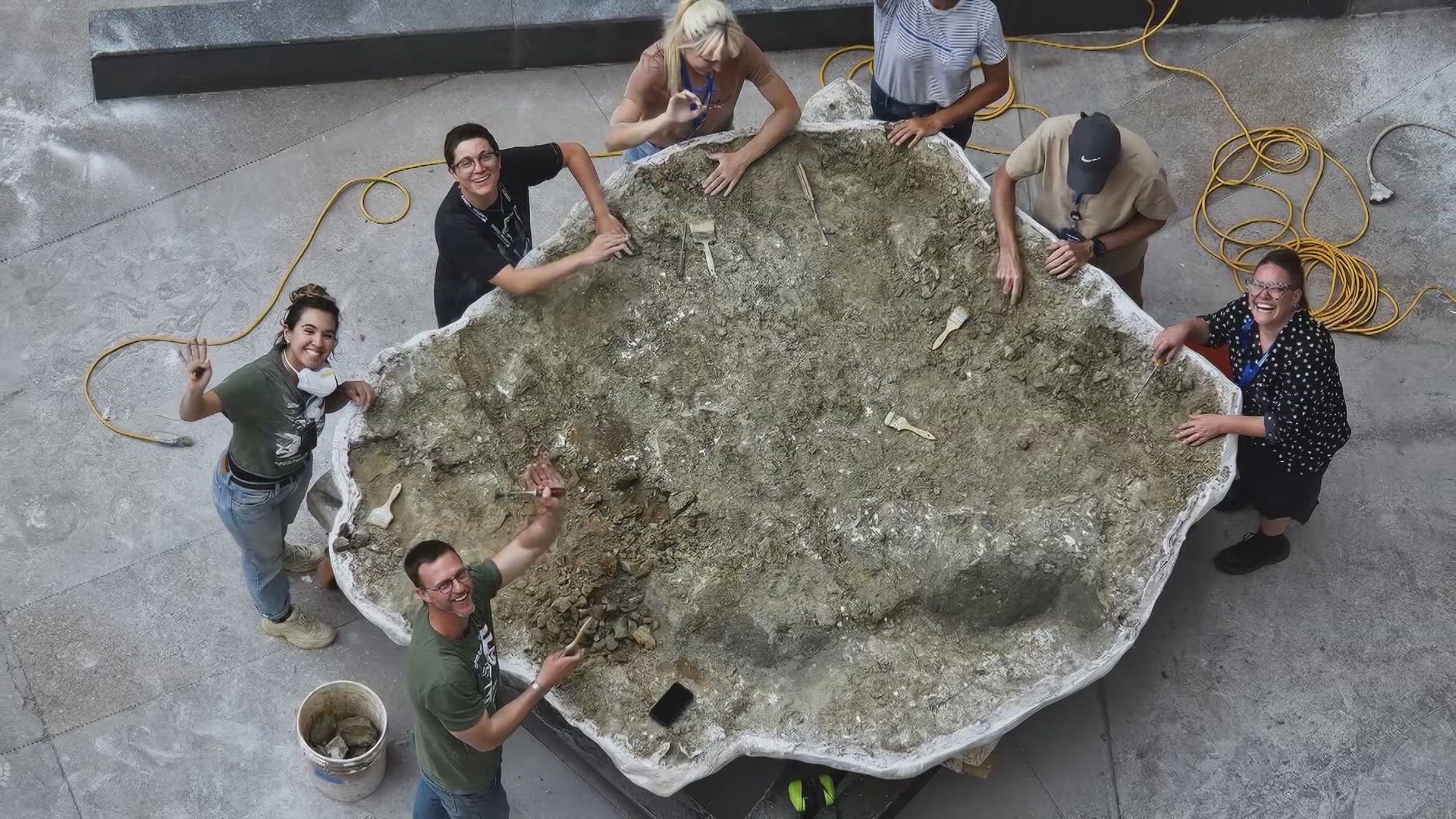 Denver museum exhibits one of the most complete Triceratops fossils ...