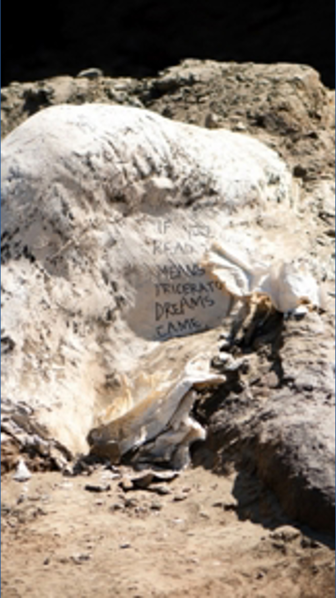 Denver museum exhibits one of the most complete Triceratops fossils ...