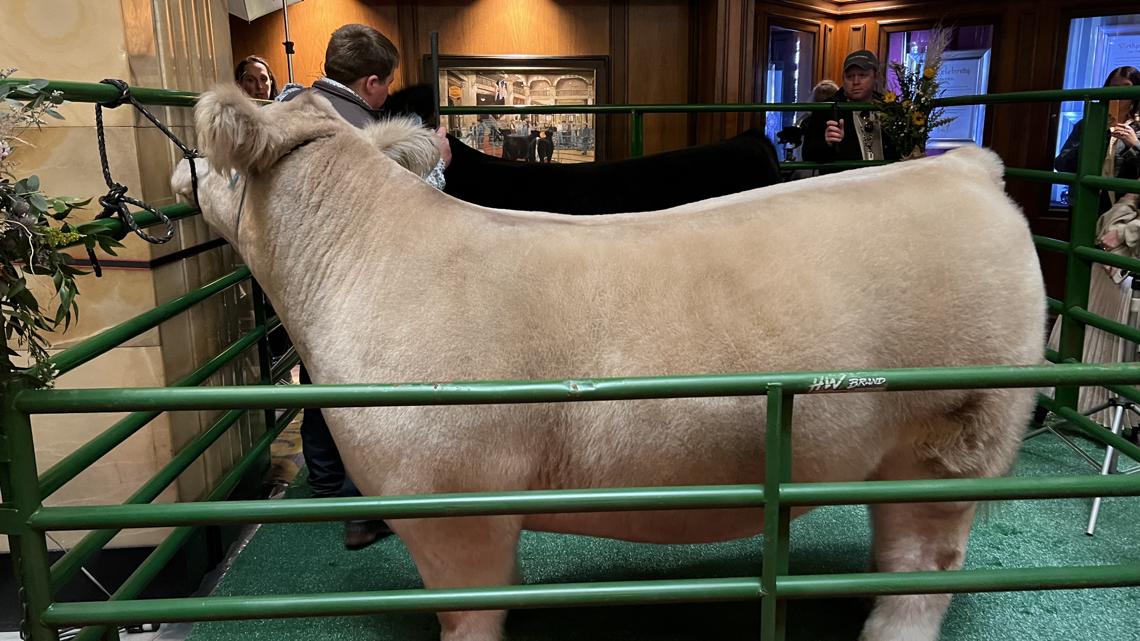 Denver Brown Palace hotel closing Palace Arms restaurant briefly ...