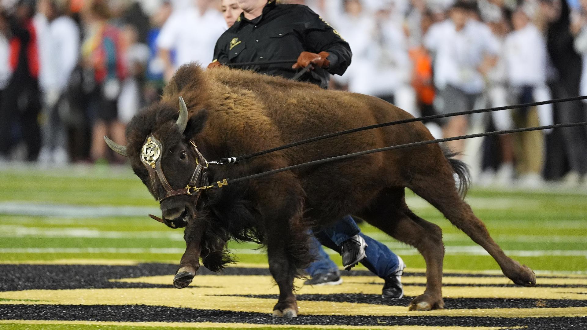Colorado Buffaloes vs. TCU set for earlier kickoff on FOX | 9news.com