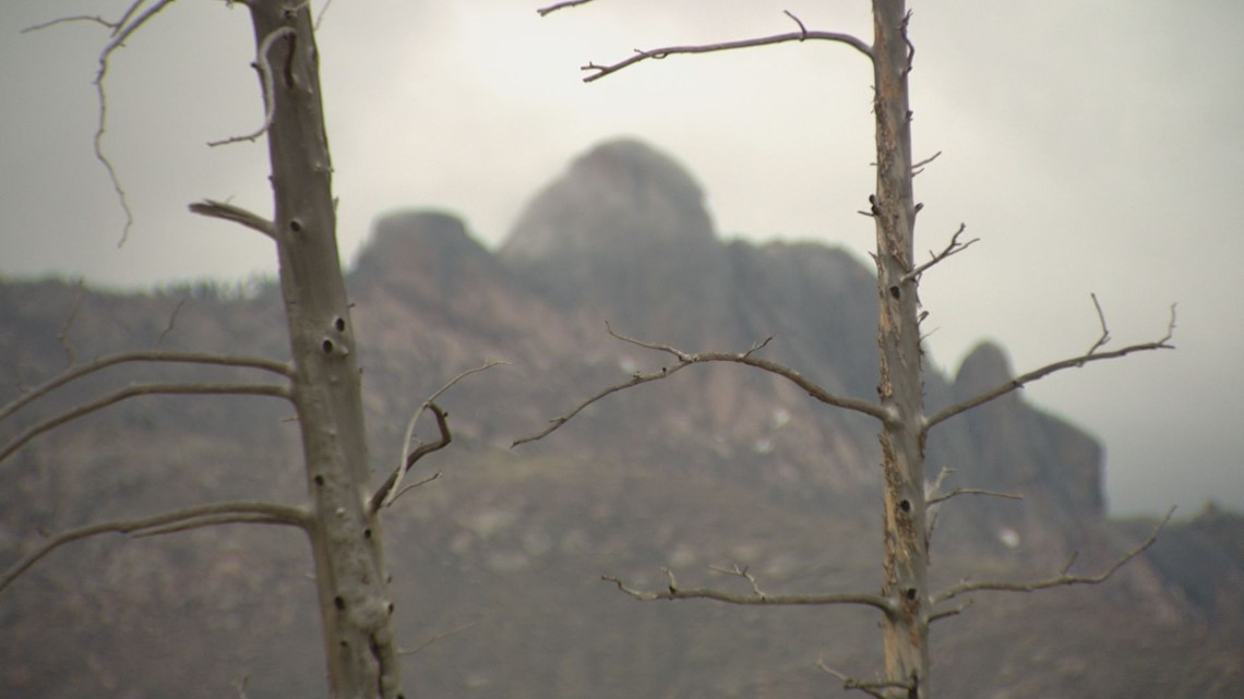 The Hayman Fire, 20 years later | 9news.com