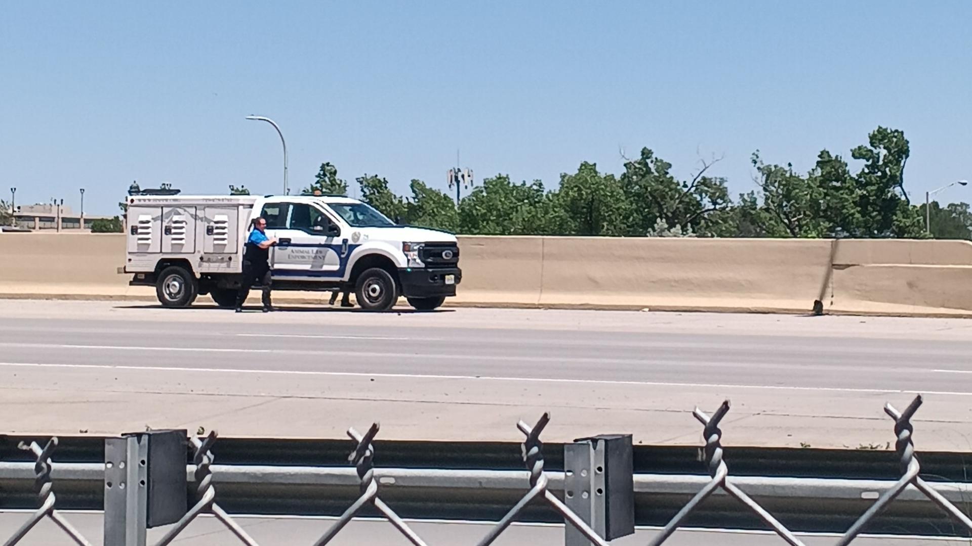 Denver Local News | Denver's source for Local News, Sports, Weather ...