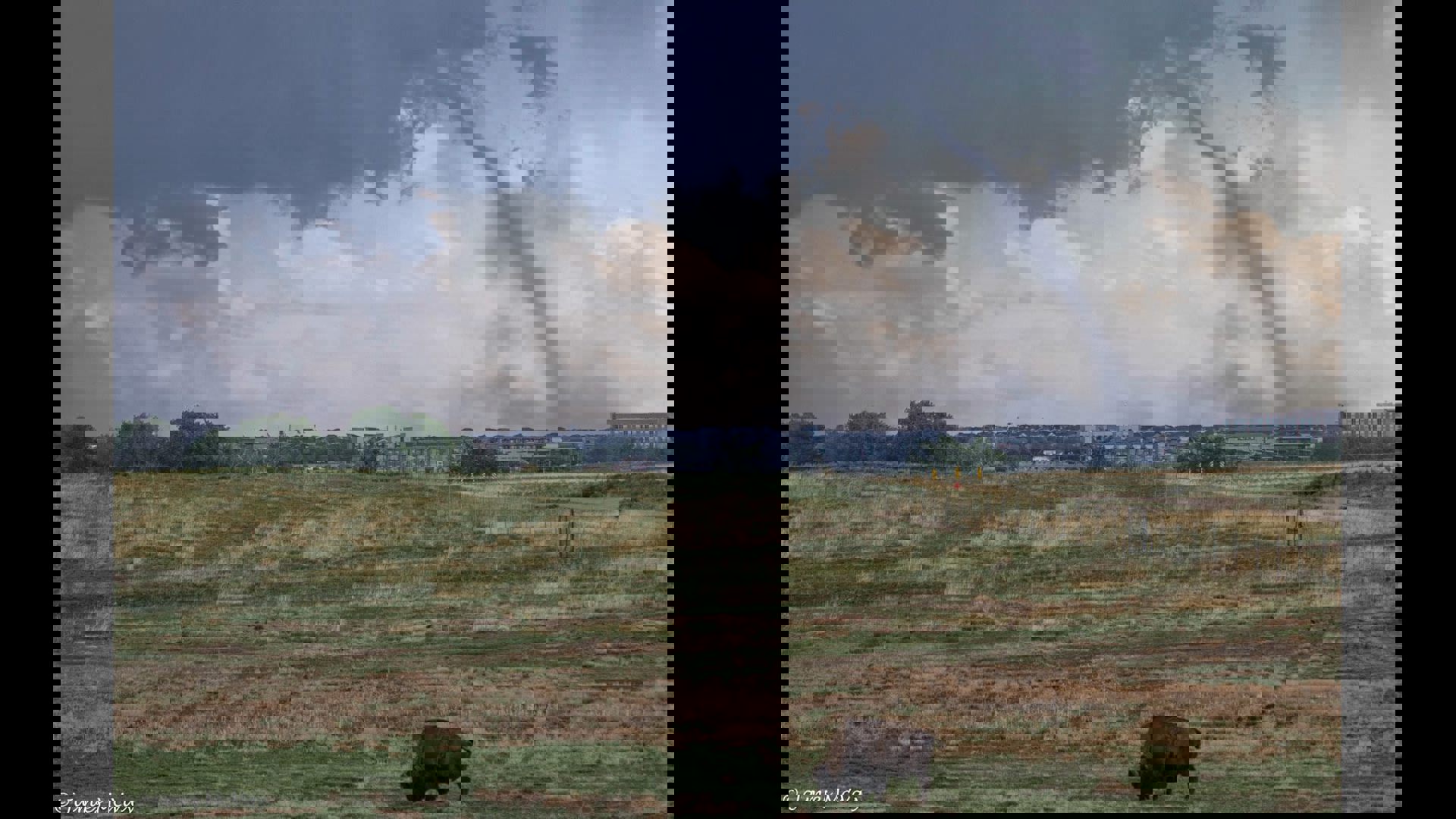 Experts said hail poses biggest threat during Colorado tornado season ...