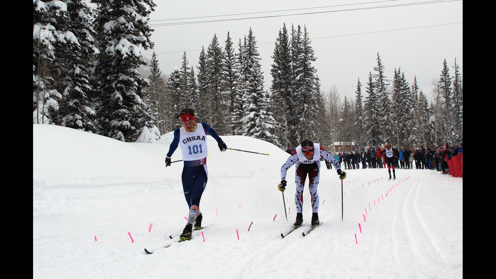 RESULTS: 2019 Skiing State Championships | 9news.com