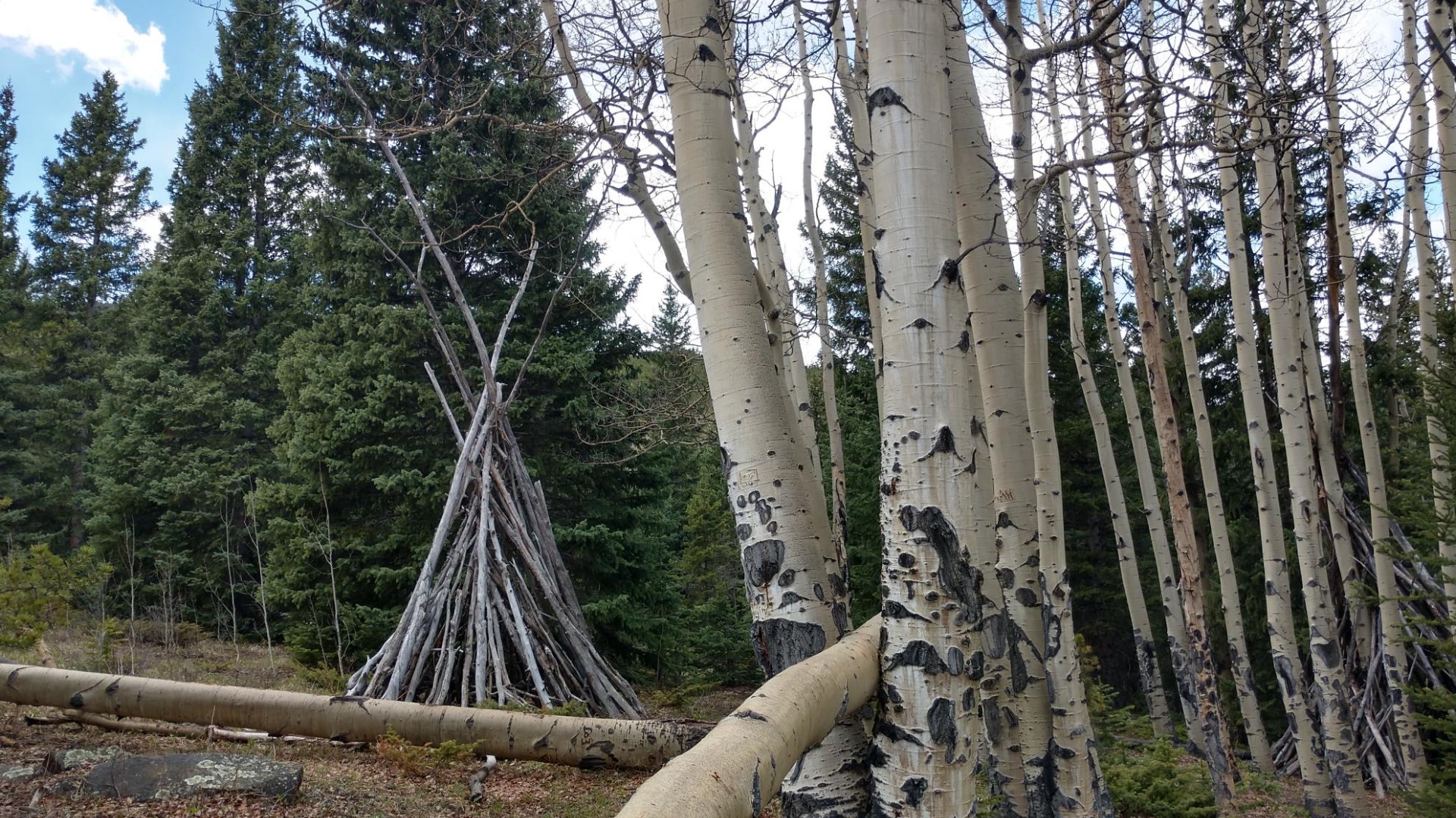 Colorado trails guide: Beaver Brook Watershed Trail | 9news.com