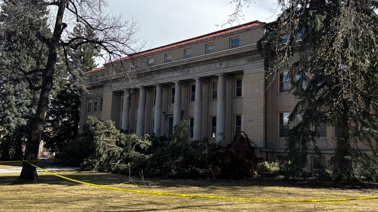 Strong winds cause damage across Front Range, close CSU campus and down ...