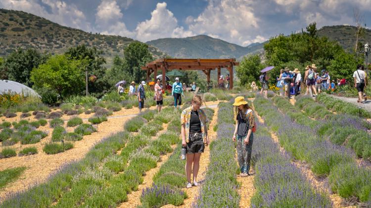 9 Things to do in Denver and Colorado this weekend: July 19-21 | 9news.com