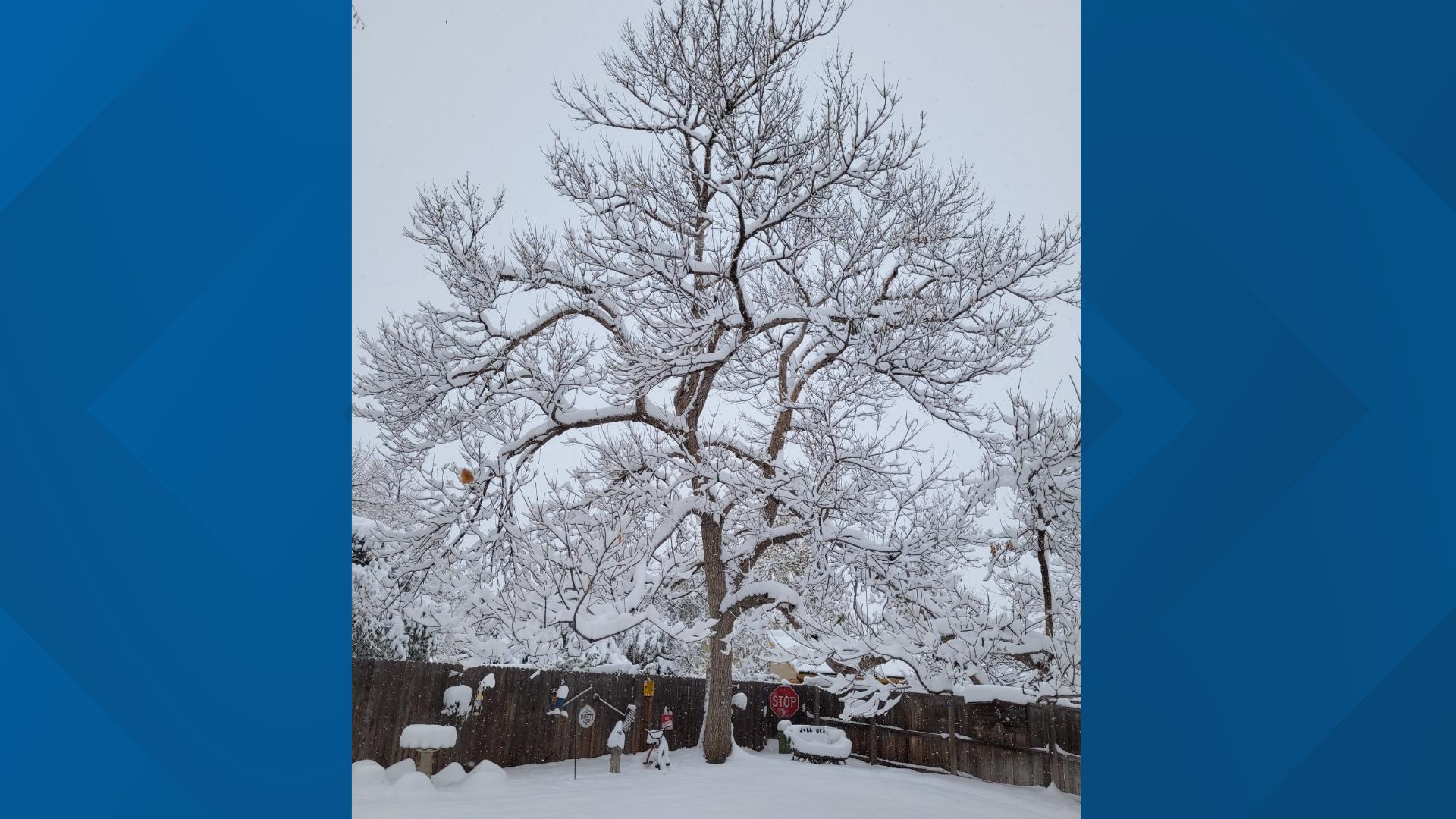 Major winter storm in Colorado: How much snow Denver could get | 9news.com