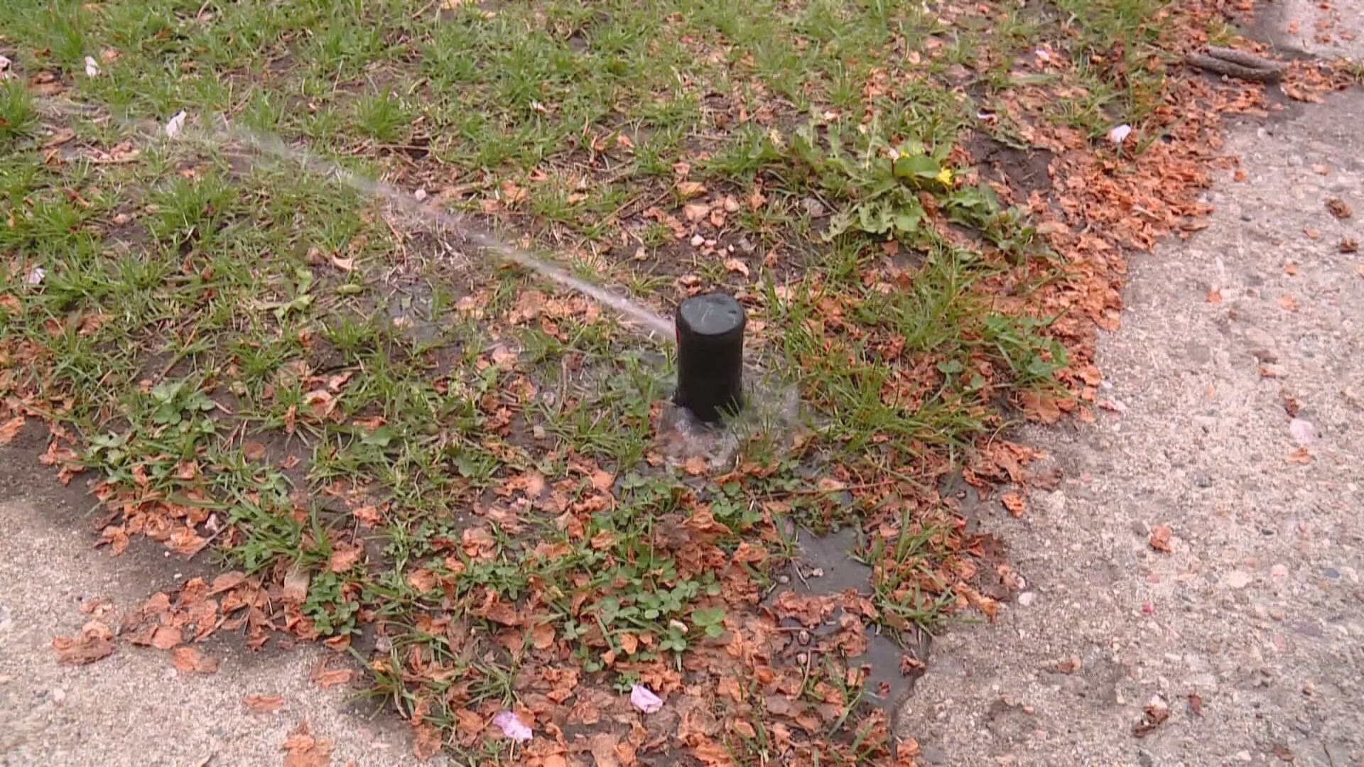 Denver Water to implement 'drought pricing' on outdoor water use ...