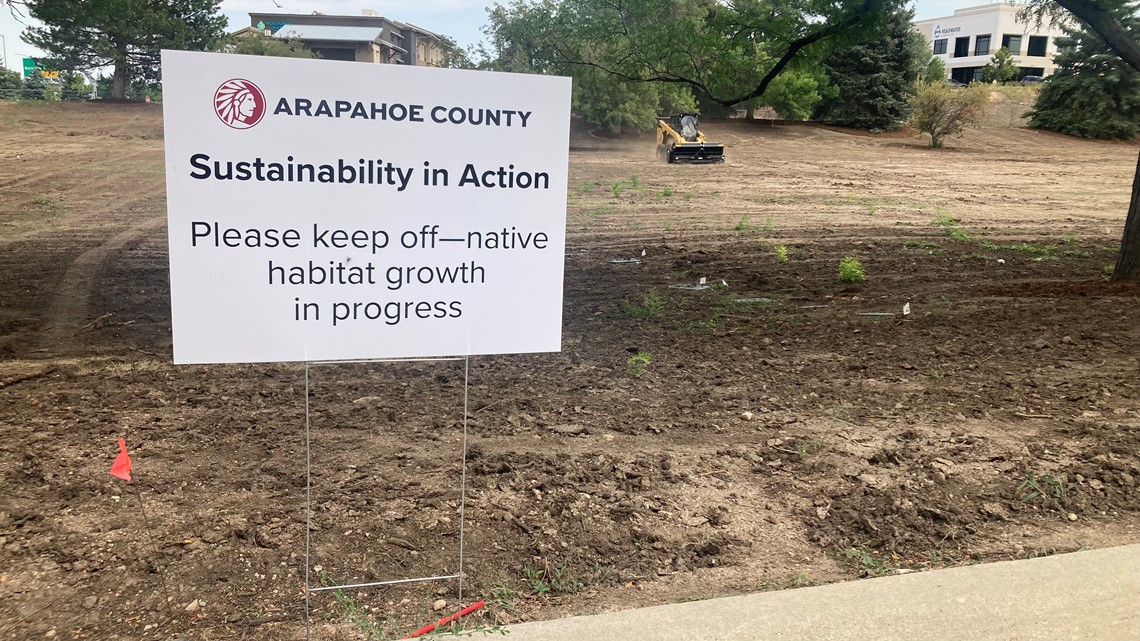 Arapahoe County replacing field with native grasses to save water ...