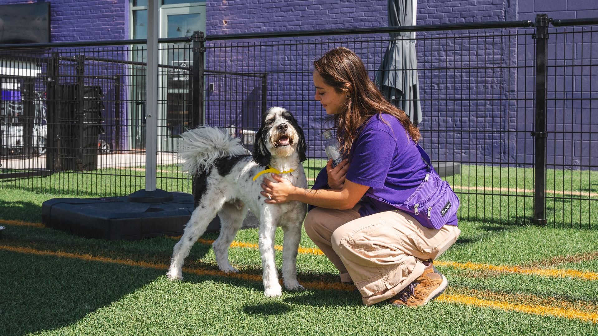 Skiptown: New off-leash dog bar, park opens in Denver | 9news.com