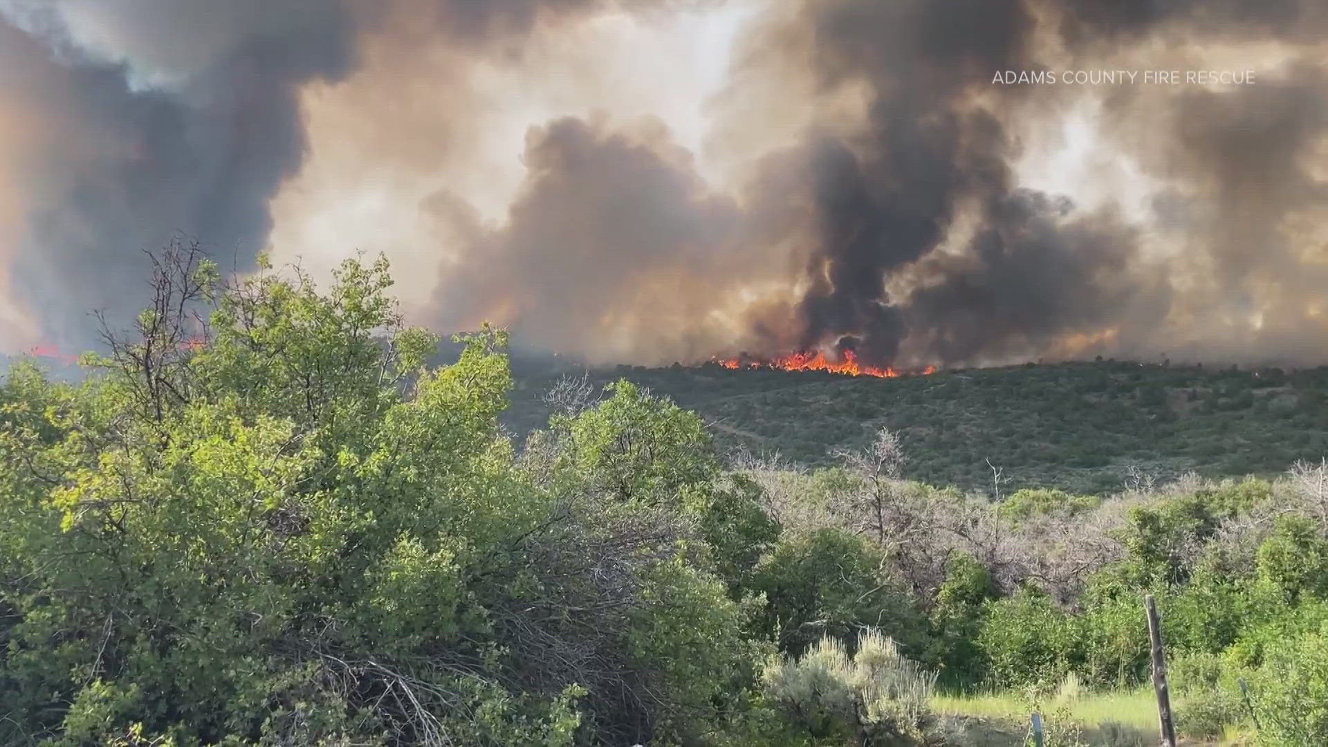 Colorado wildfires: Fires burning across the state | 9news.com