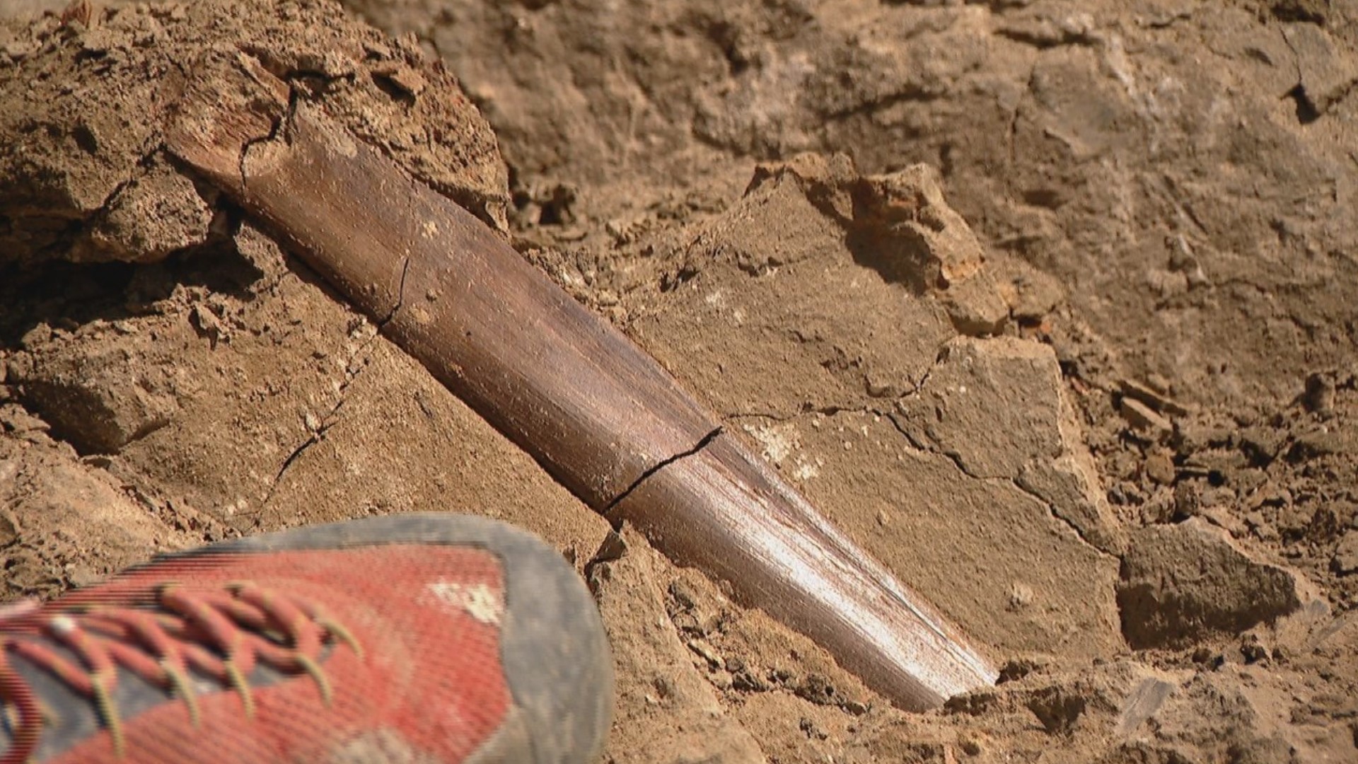 Colorado students go on dinosaur dig at Utah national monument | 9news.com