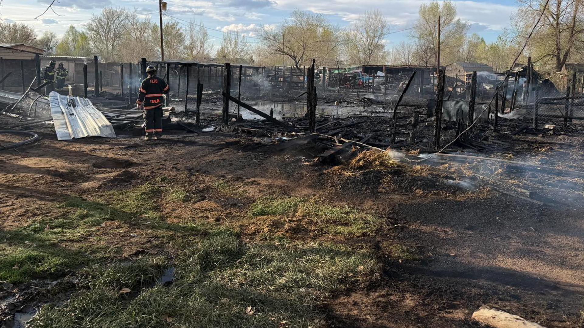 Farm animals killed in fire | 9news.com