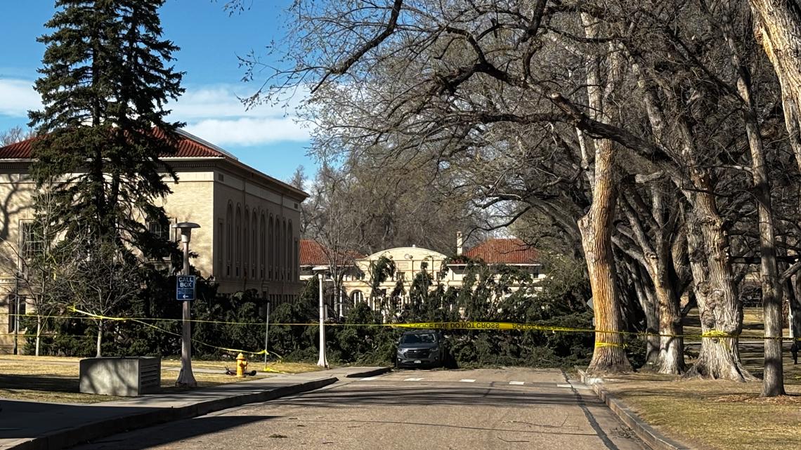 Strong winds cause damage across Front Range, close CSU campus and down ...