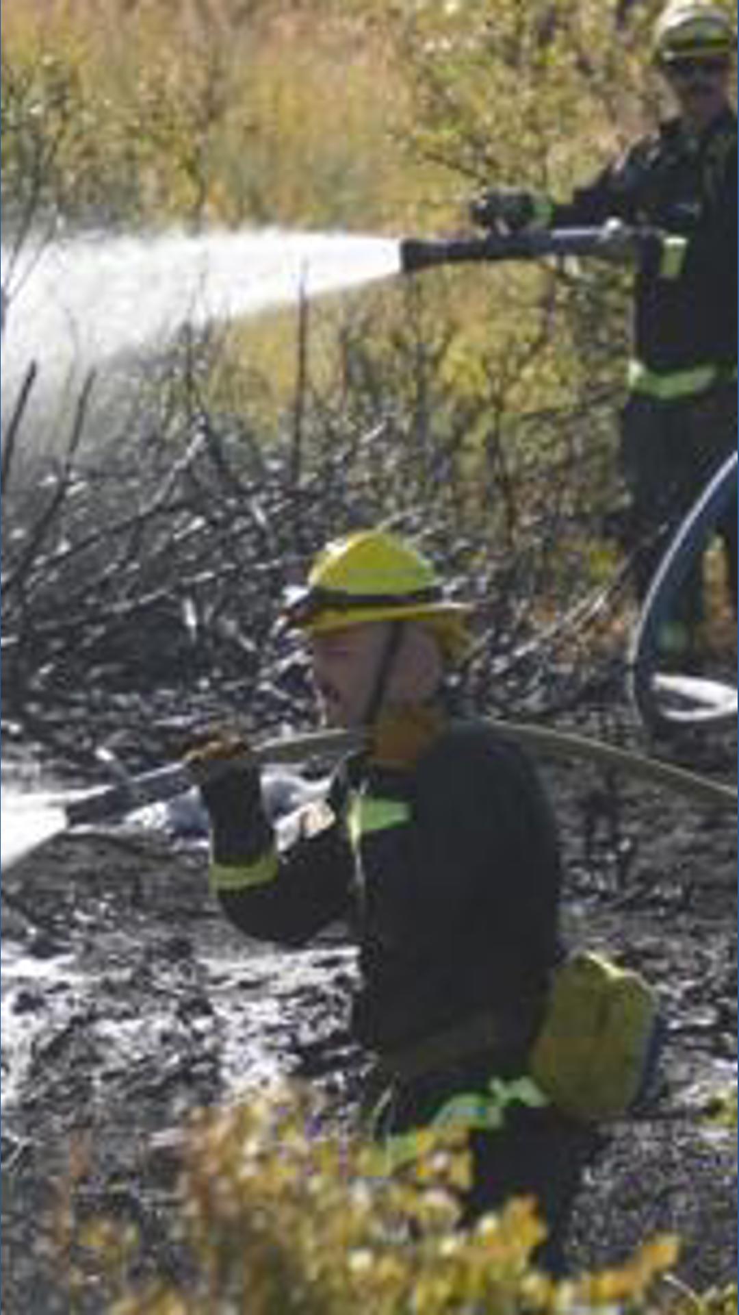 Electrocuted bird sparks vegetation fire in Douglas County | 9news.com