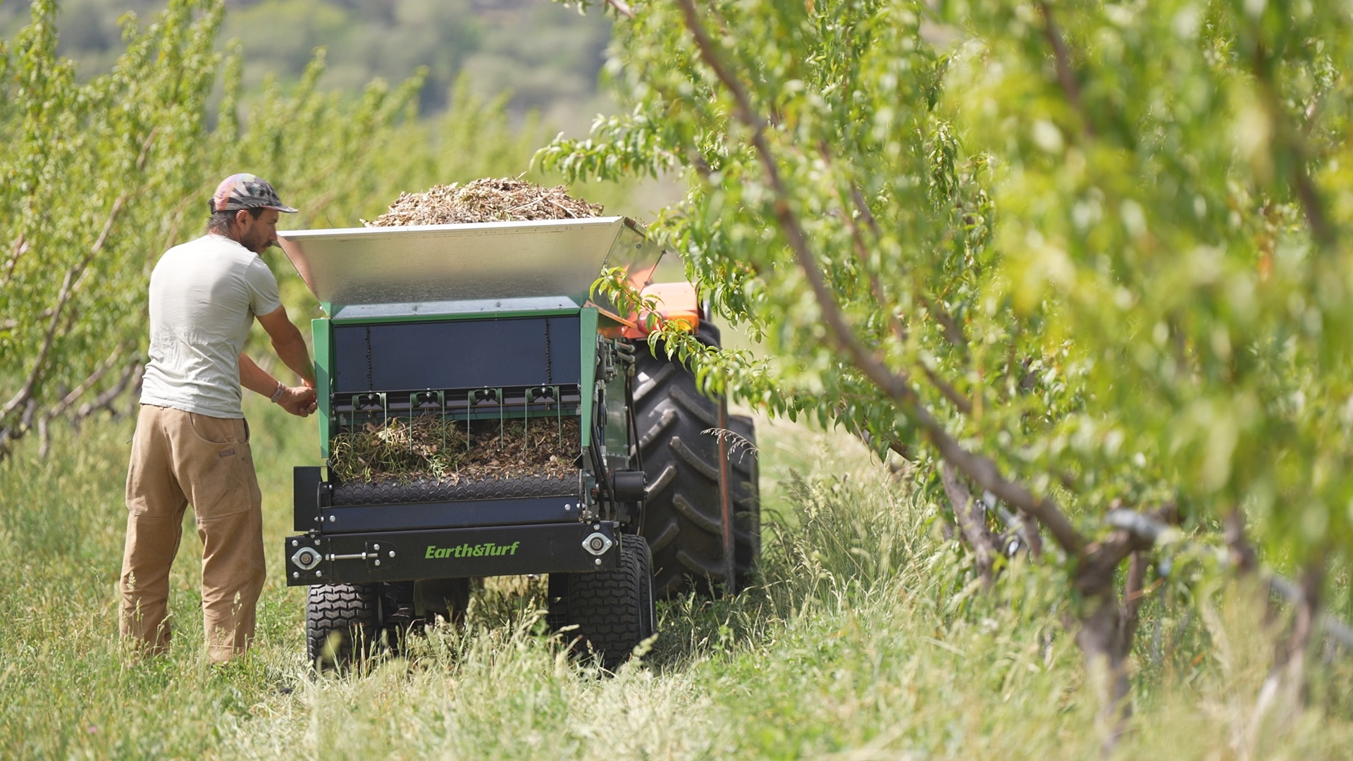 'Our card got pulled': Colorado fruit farmers lose entire crop to ...