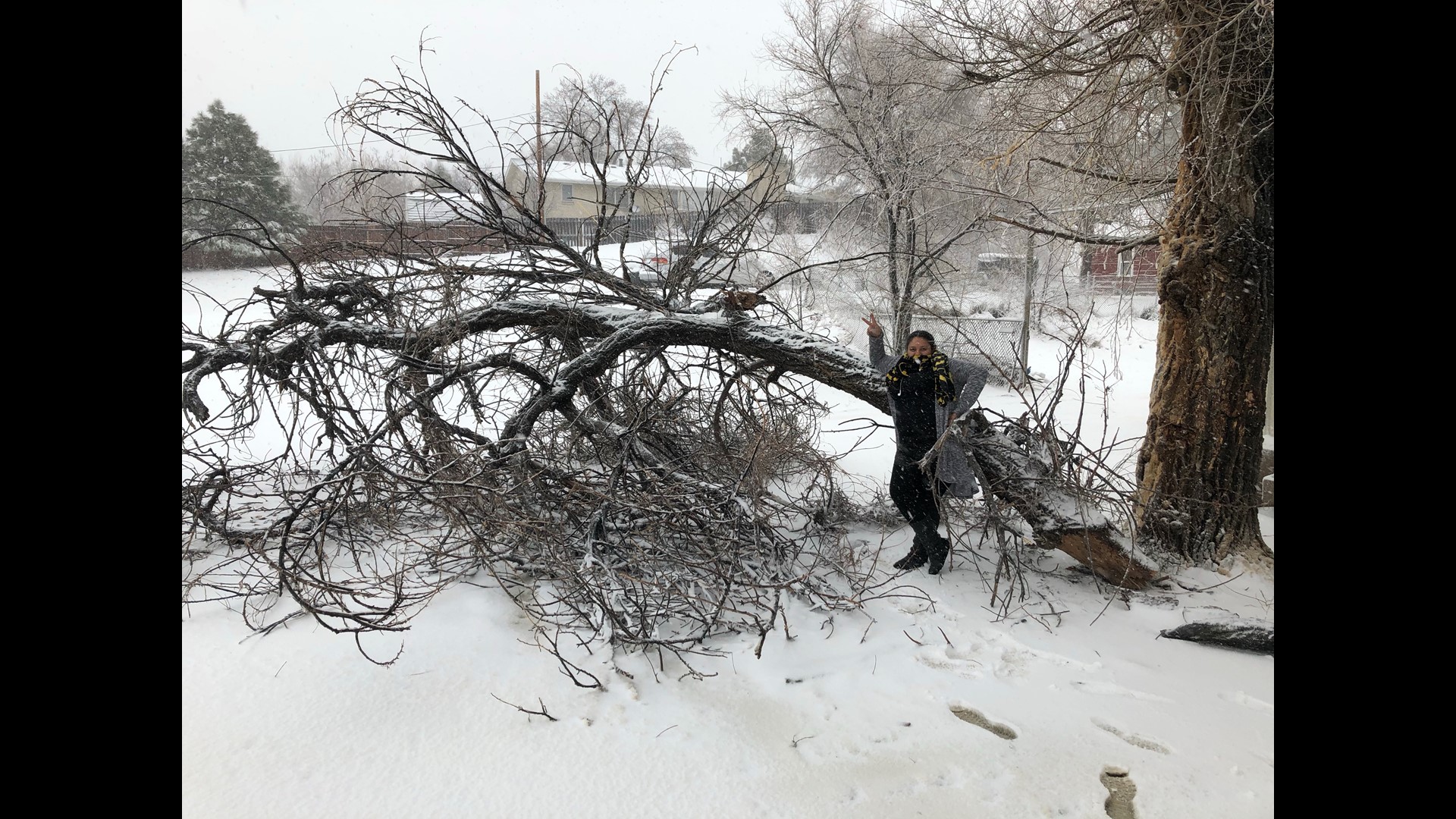 Bomb Cyclone: Colorado's 2019 weather event was the strongest ever ...