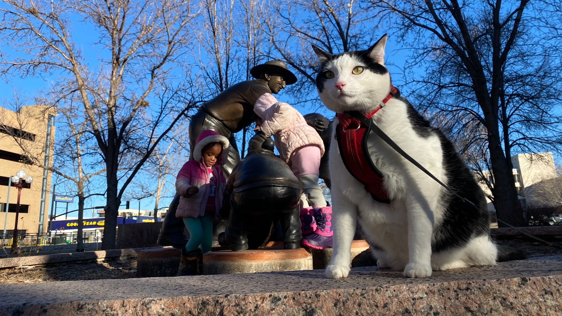 9 Things to do in Denver and Colorado this weekend: Nov. 11-13 | 9news.com