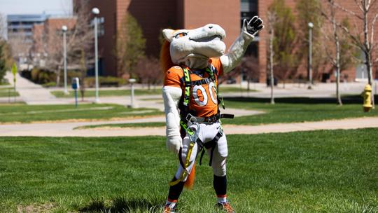 Denver Broncos 2020 positional outlook: Running backs | 9news.com