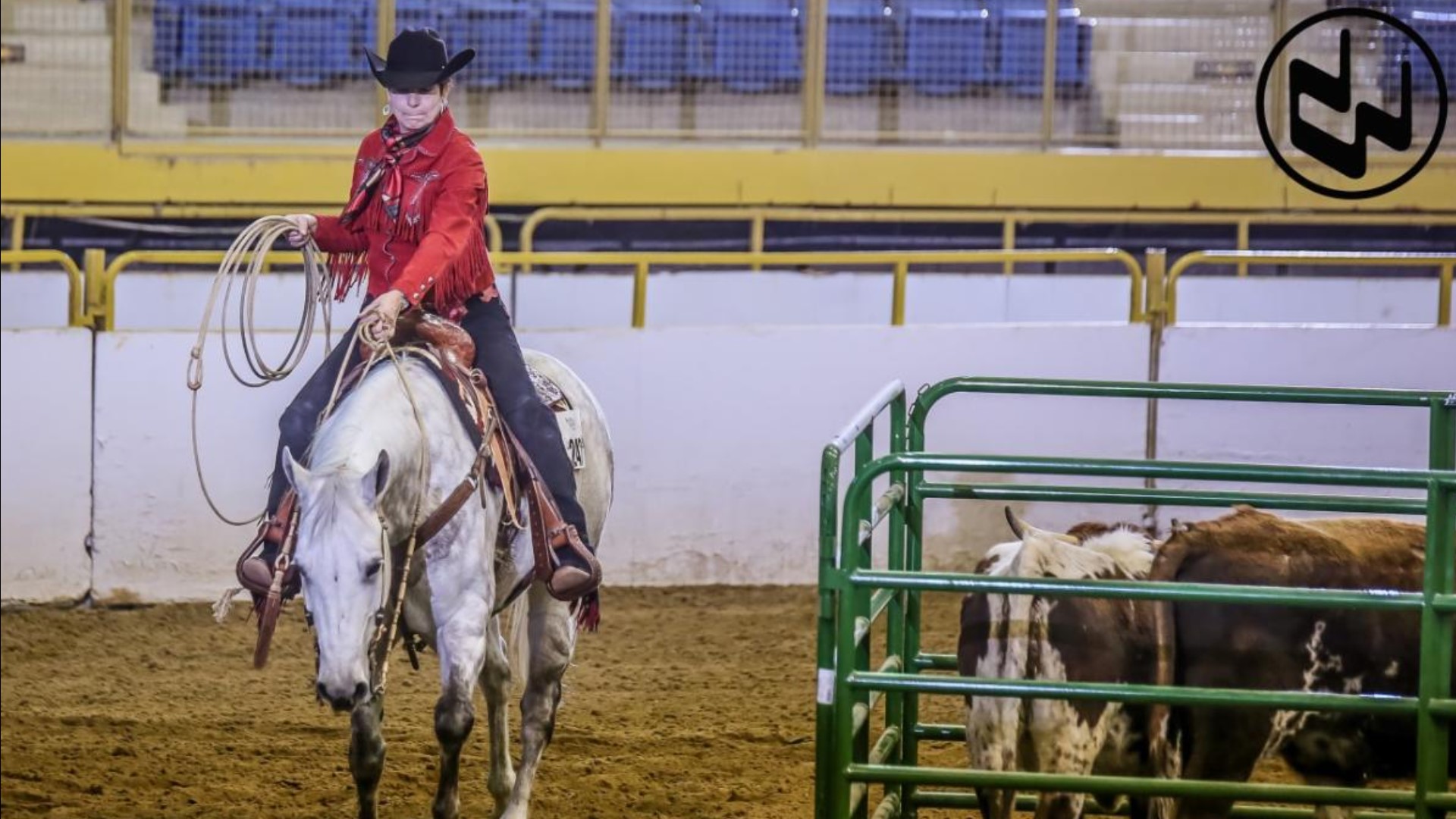 National Western Stock Show to debut elite horse sale in 2023 | 9news.com