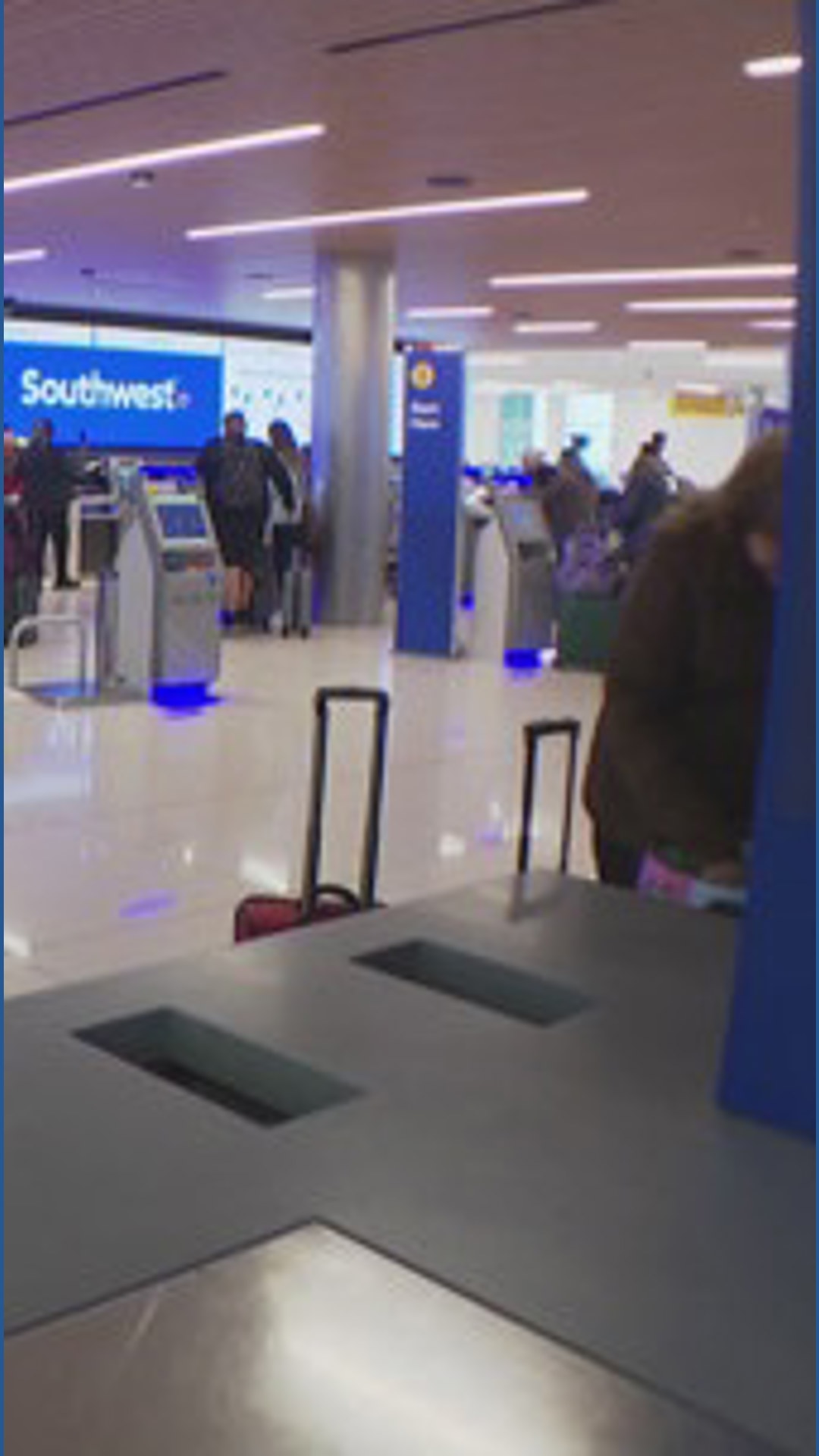 Denver airport on a ground stop due to high winds | 9news.com