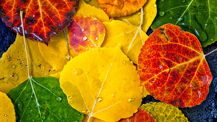 These are the 9 best drives to see fall colors in Colorado | 9news.com
