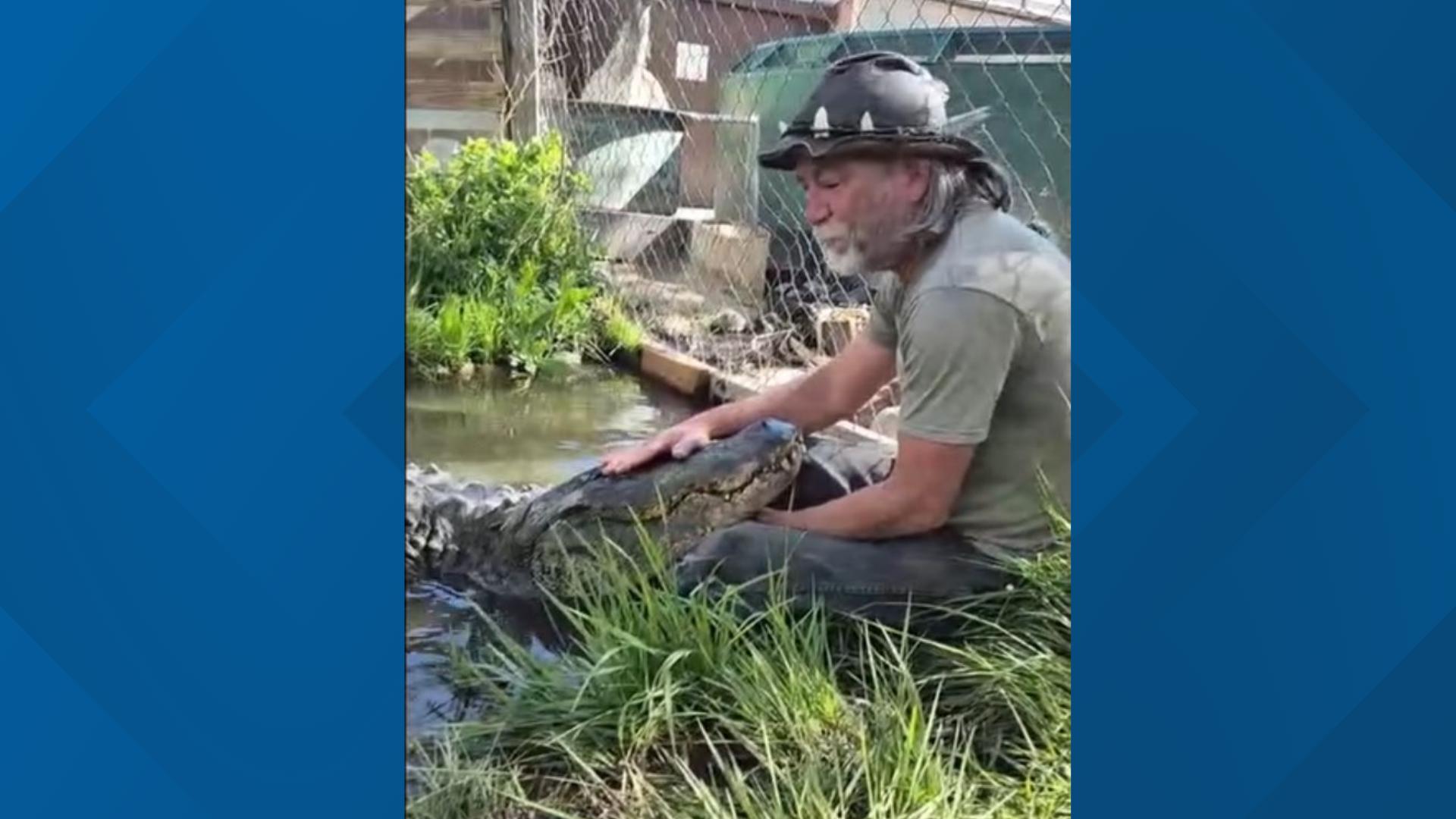 Morris the alligator dies at Colorado Gator Farm | 9news.com
