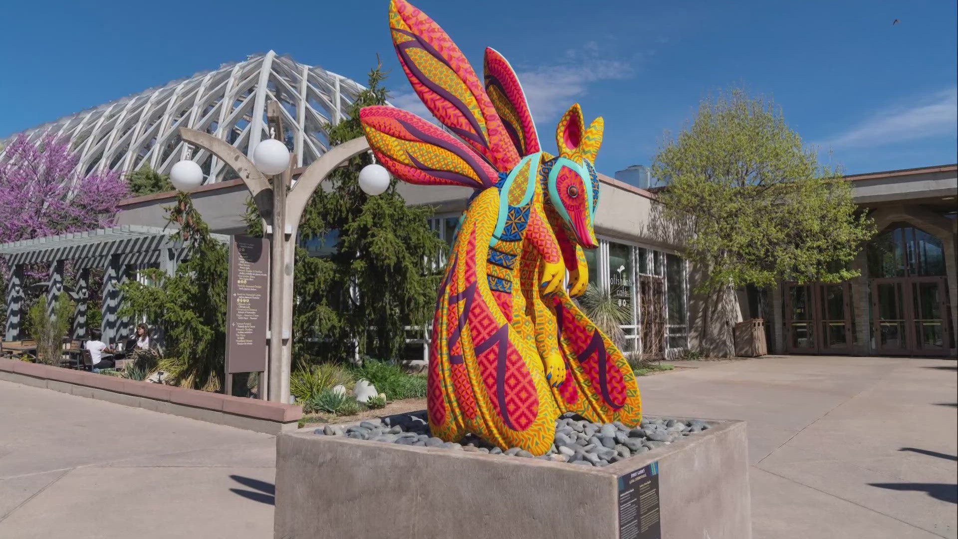 Denver Botanic Gardens announces 2025 summer concert lineup | 9news.com