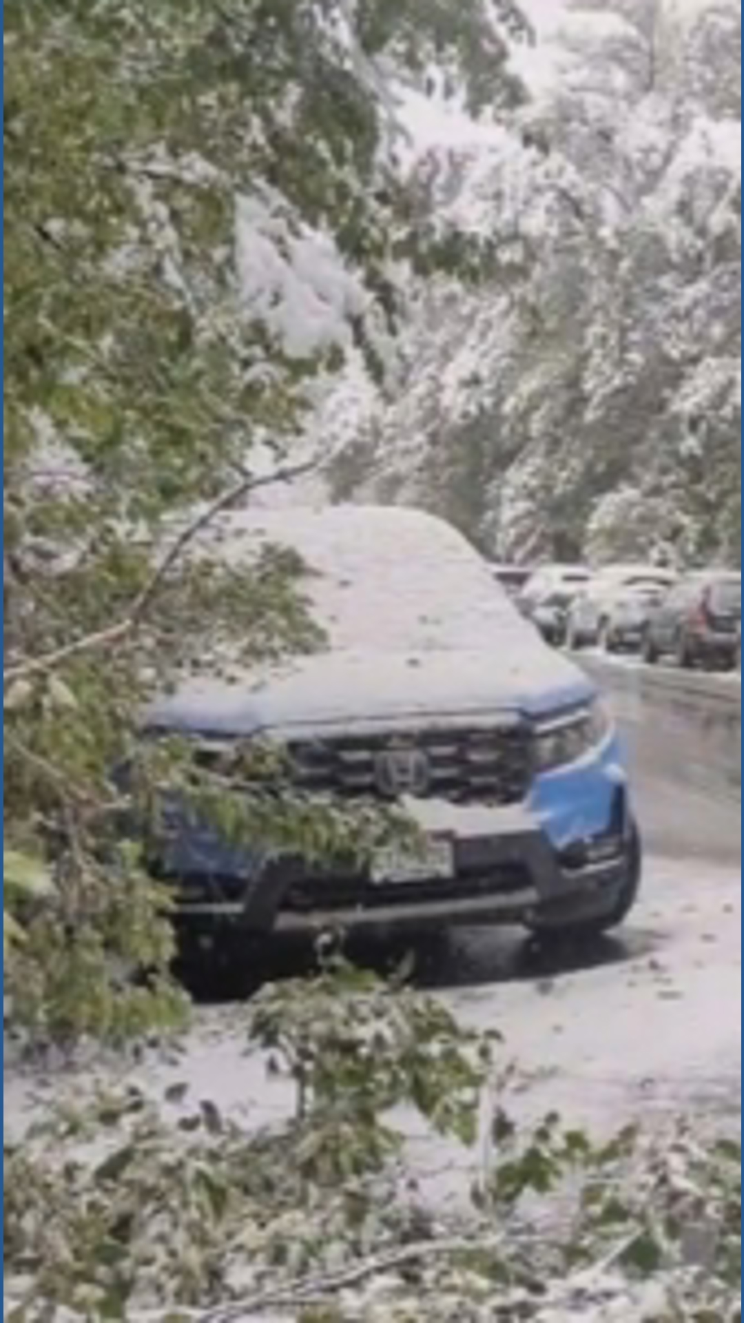 Heavy wet snow blankets Colorado Wednesday, leads to downed trees ...