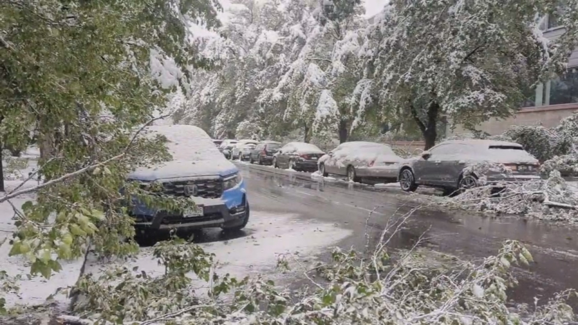 Heavy wet snow blankets Colorado Wednesday, leads to downed trees ...