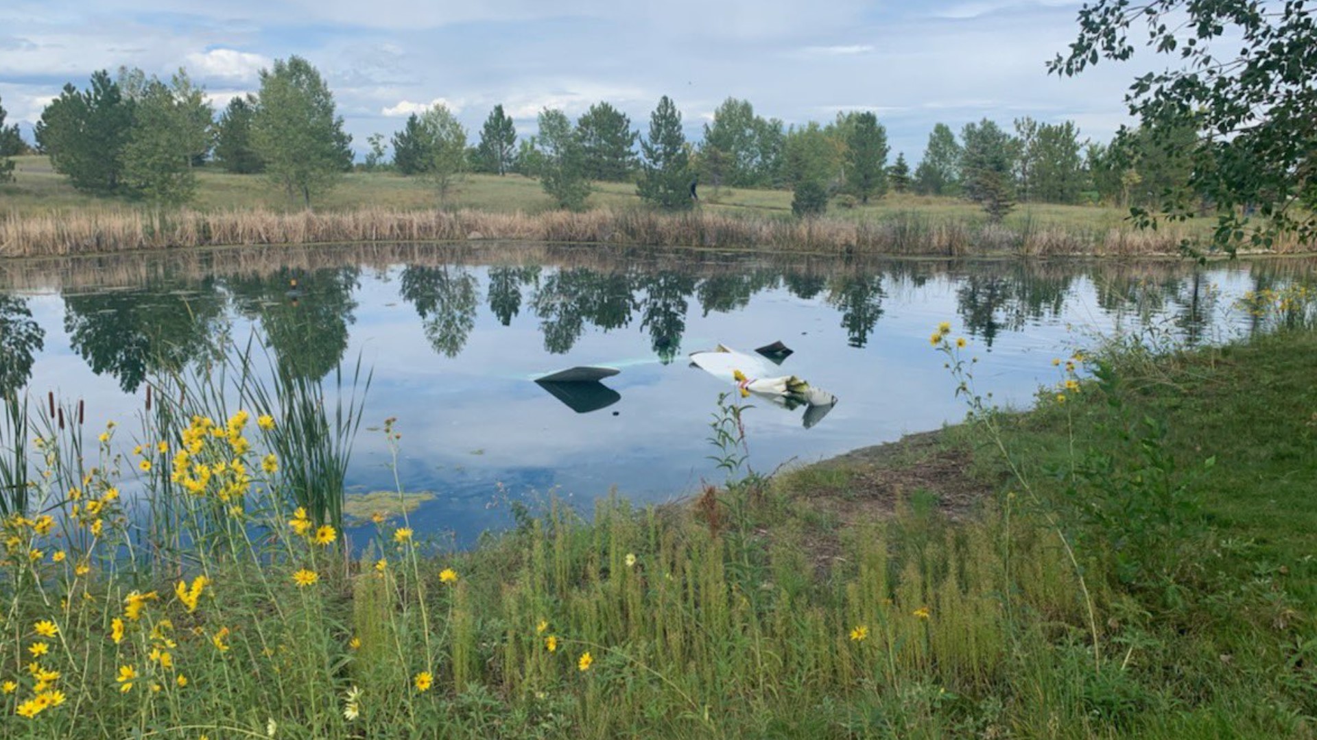 Broomfield plane crash: small plane lands in pond | 9news.com