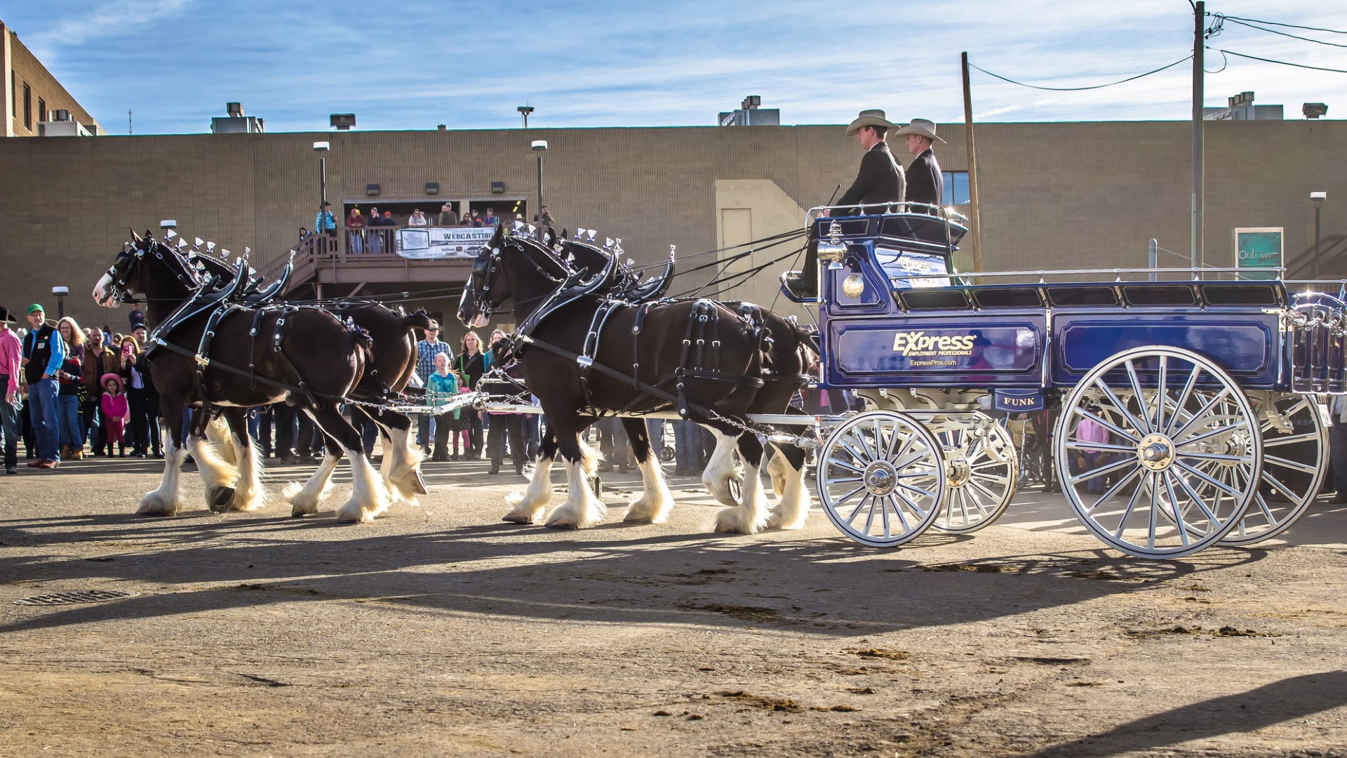 A guide to the 2025 National Western Stock Show in Denver | 9news.com