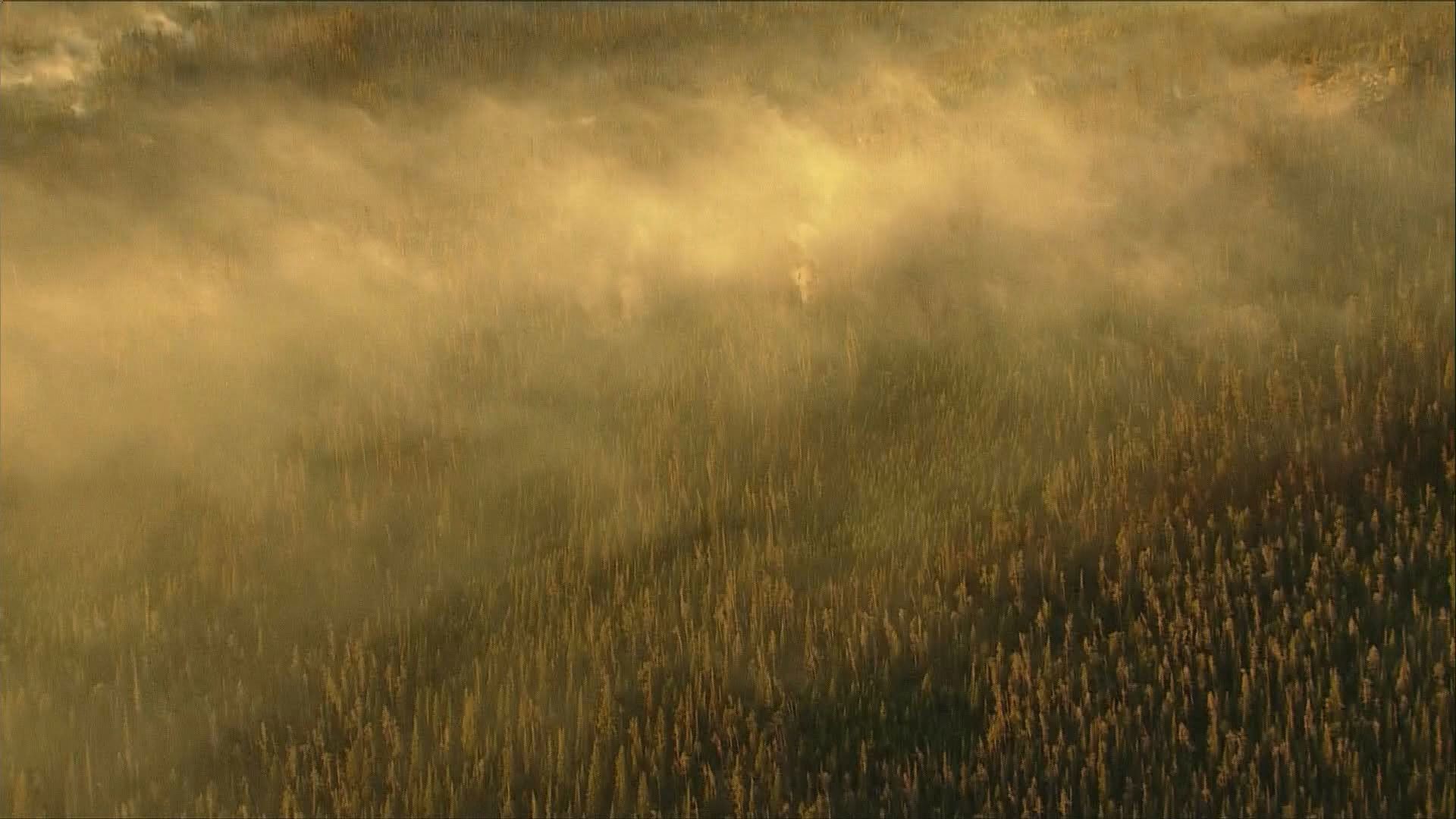 Colorado wildfire | Pearl Fire latest, updates, evacuations | 9news.com