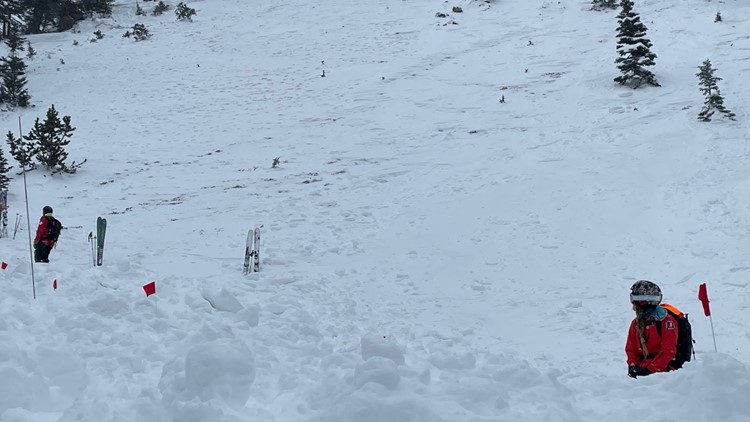 Mischa Barton is arrested on DUI | 9news.com