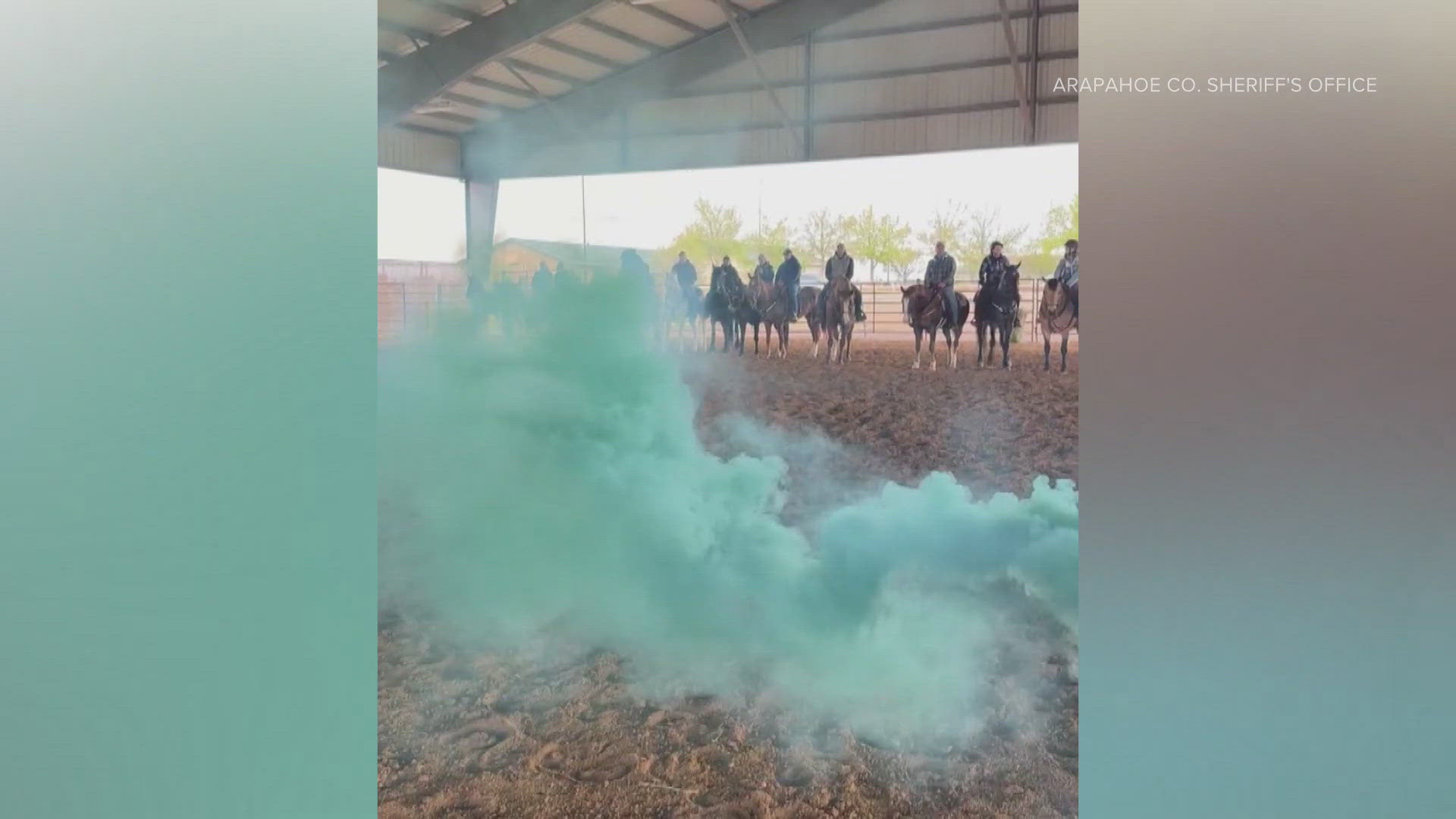 Colorado mounted horse patrol traveling to World Cup in Kansas City ...