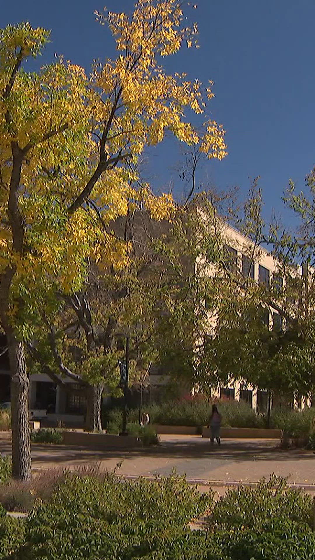 Giant Pumpkin on display at Colorado School of Mines | 9news.com