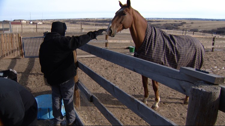 Douglas County Sky View Farm helps youth with mental health | 9news.com