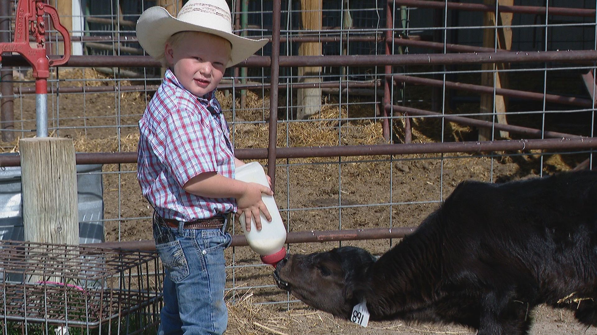 Working as an agricultural journalist in Colorado | 9news.com