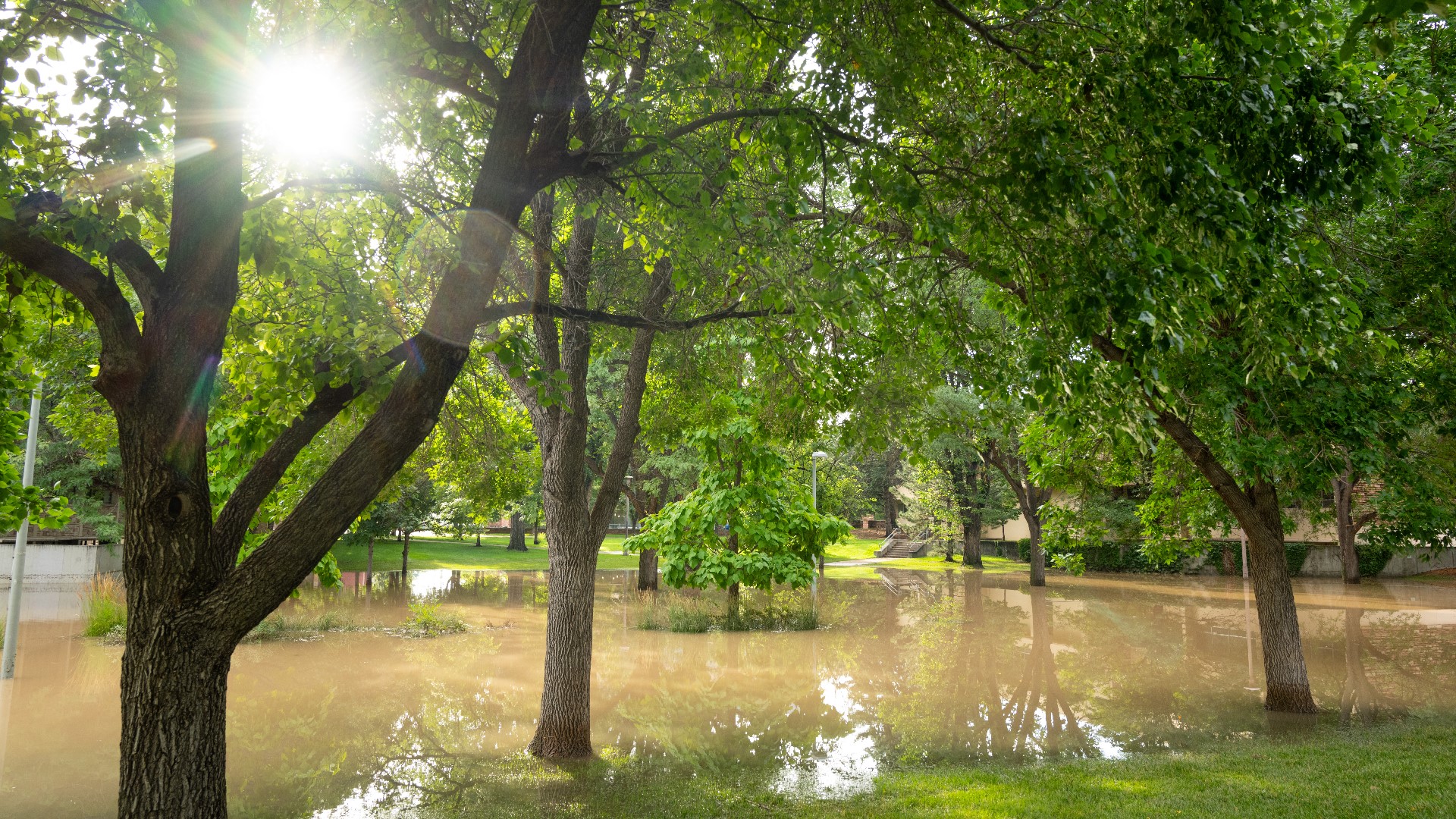 CSU says flooding Monday could have been 'a whole lot worse' | 9news.com