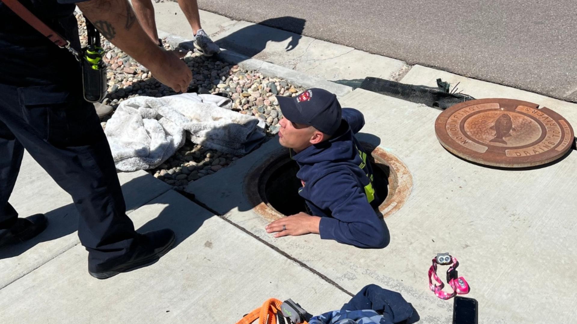 3 kids, 2 dogs safe after underground drain rescue in Colorado | 9news.com
