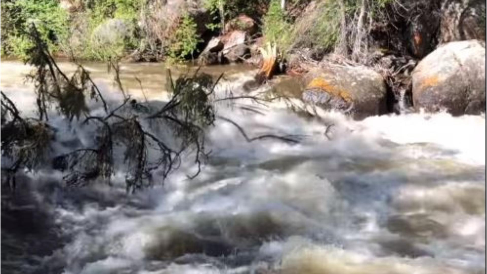 Little red hats are helping raise awareness for congenital heart ...