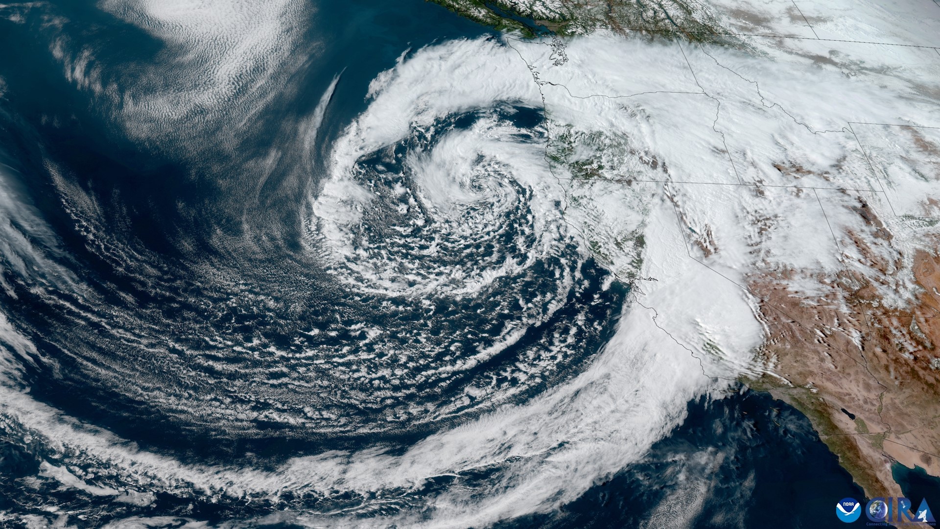 Corey Nelson suffers season-ending torn biceps | 9news.com