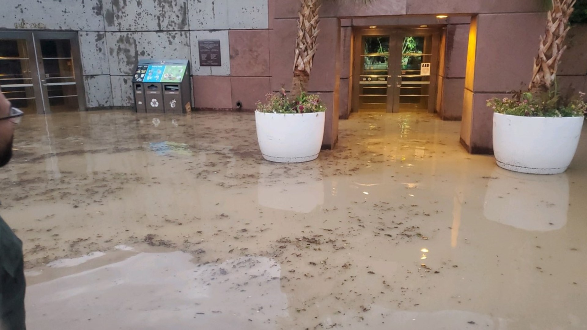 Torrential rains caused flooding at Denver Zoo | 9news.com